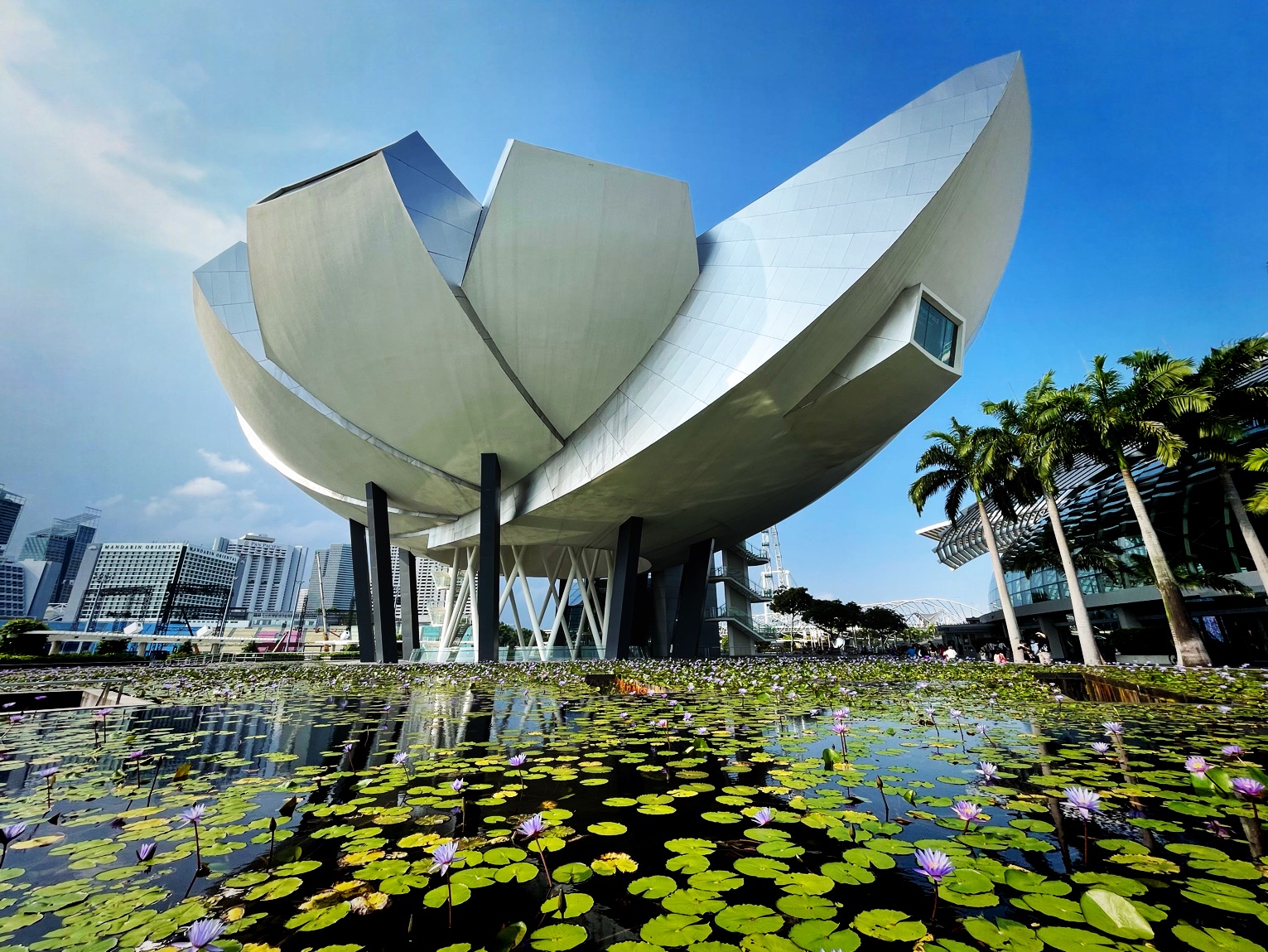 Artscience Museum Singapore