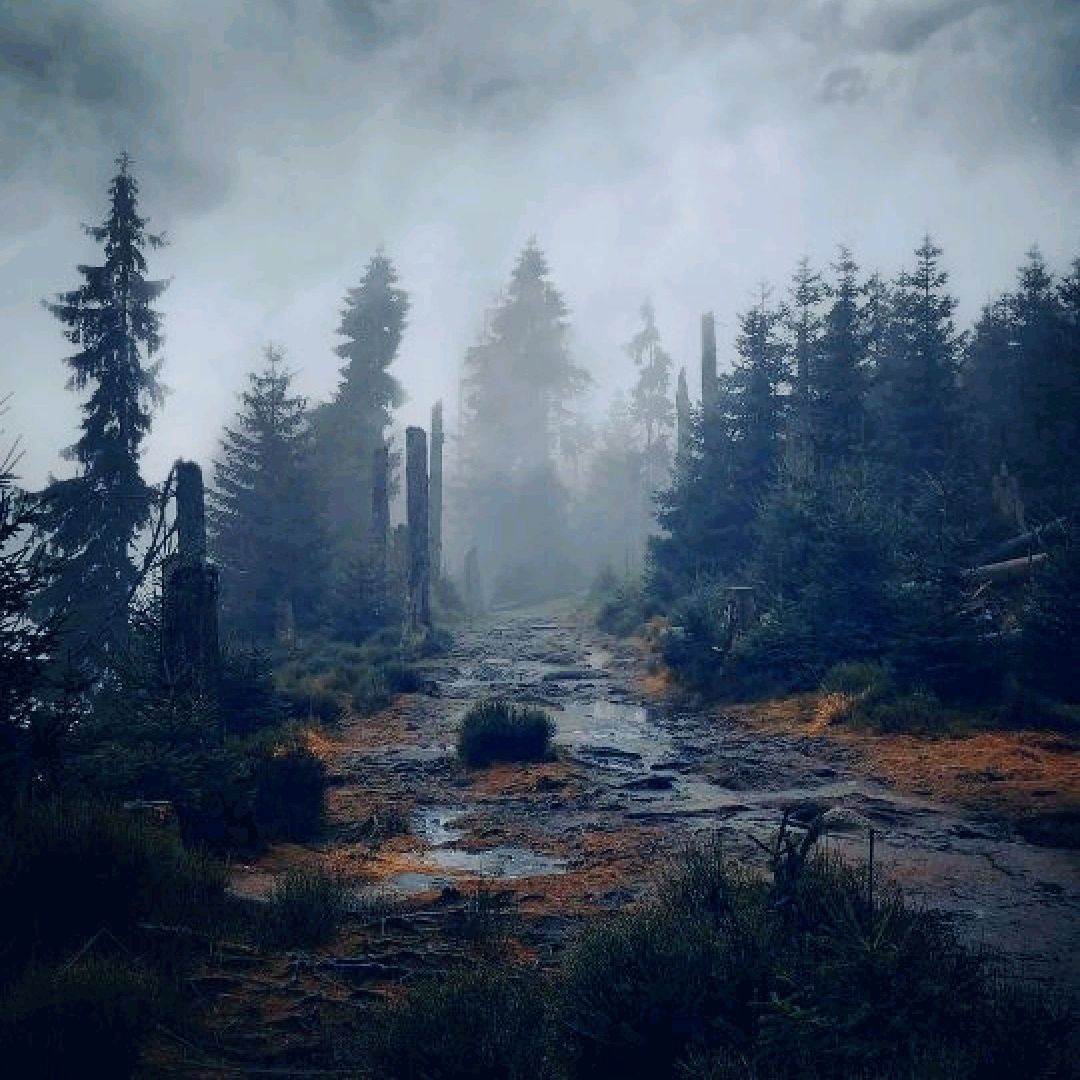 Hannover Travel Guide 2023 - Things to Do, What To Eat & Tips | Trip.com