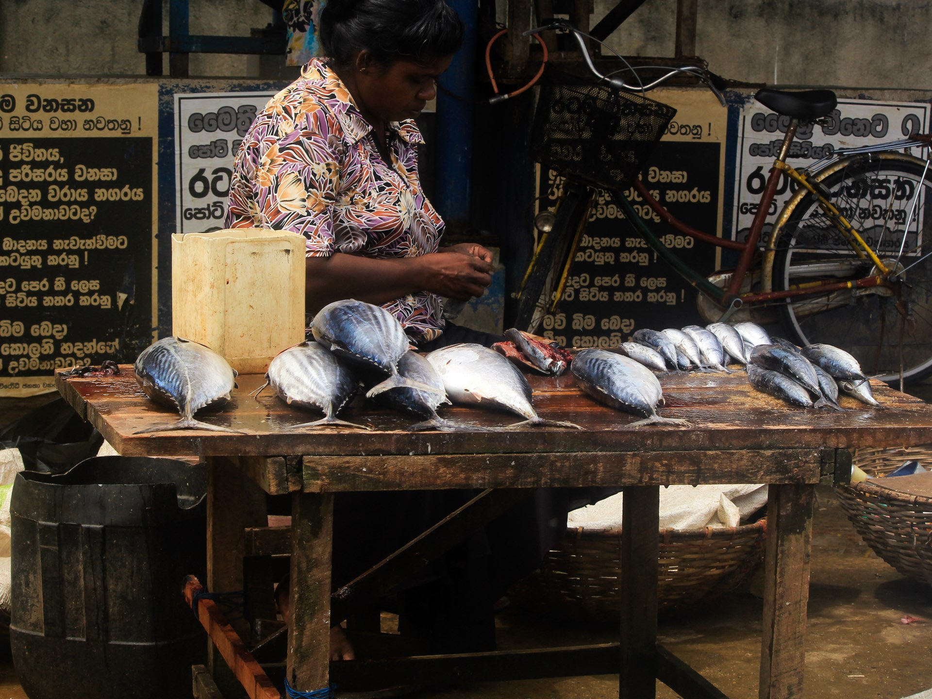 Negombo Travel Guide 2024 - Things to Do, What To Eat & Tips | Trip.com