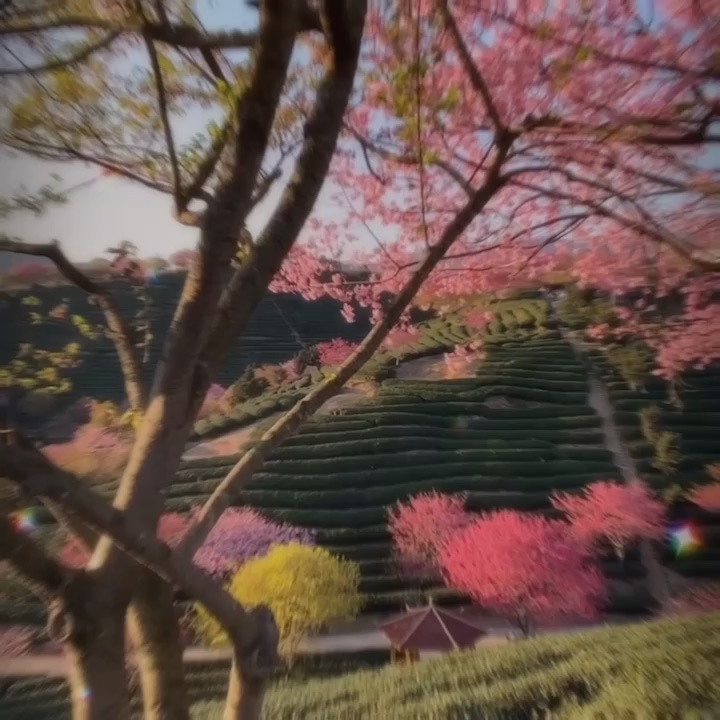 Longyan Travel Guide 2024 - Things to Do, What To Eat & Tips | Trip.com