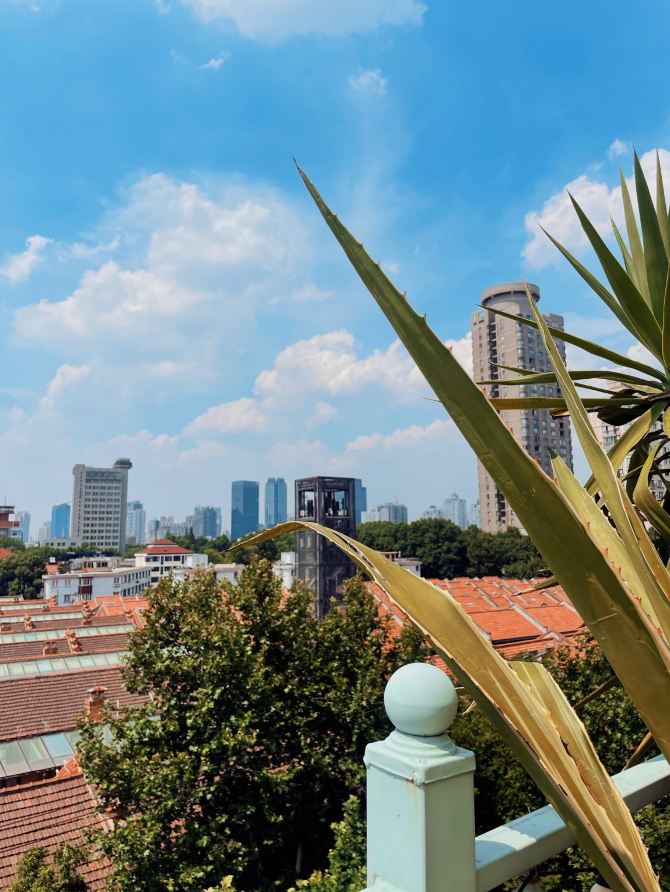 BoboLEE Rooftop Garden, Shanghai🌱🌿 | Trip.com Bogor City Travelogues