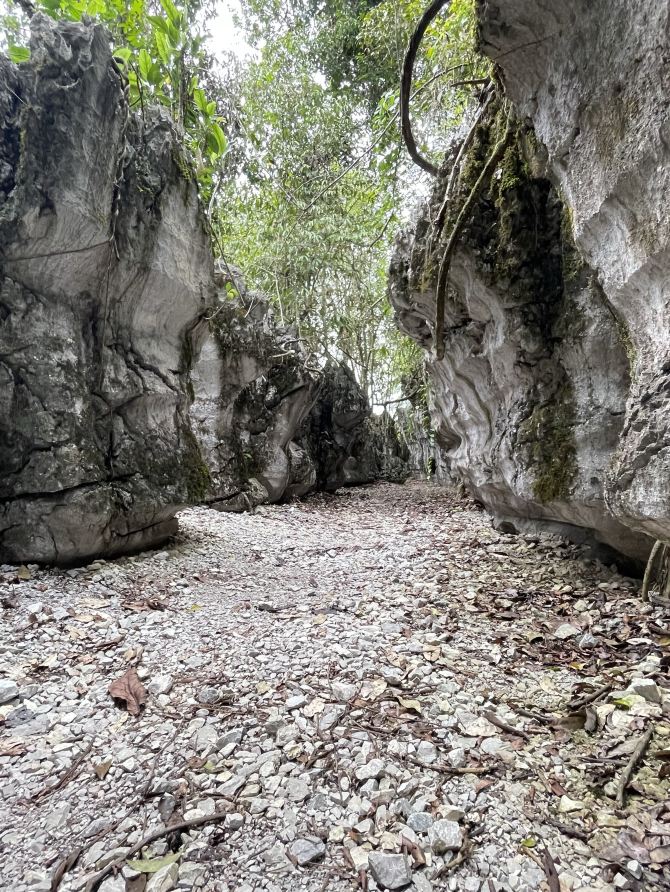 Paku Rock Maze Garden | Trip.com Bau Travelogues