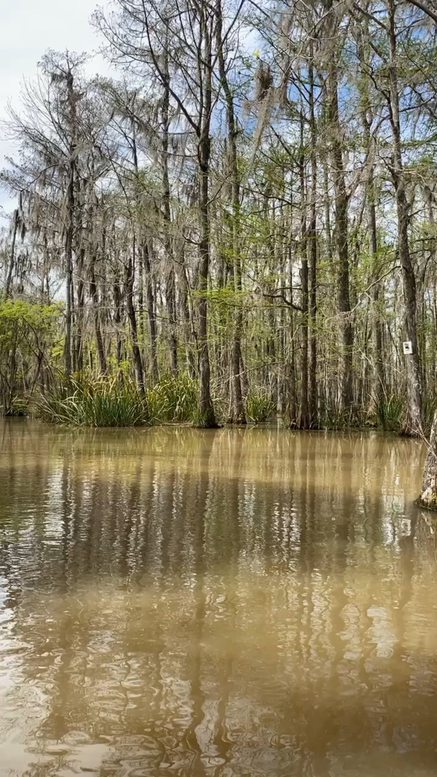 Slidell Travel Guide 2024 - Things to Do, What To Eat & Tips | Trip.com