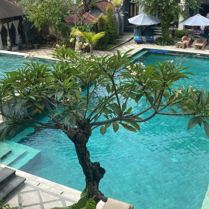 Ballin in Bali | Trip.com Bali Travelogues