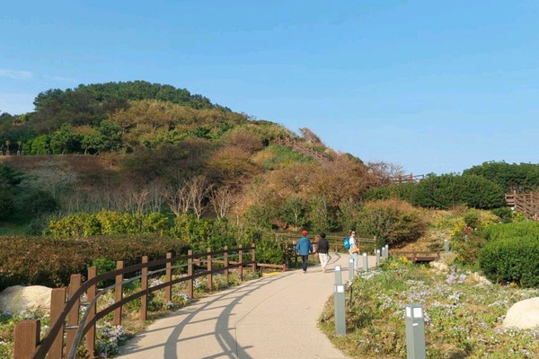 Hiking: Oryukdo, Igidae Coastal Trail | Trip.com Busan