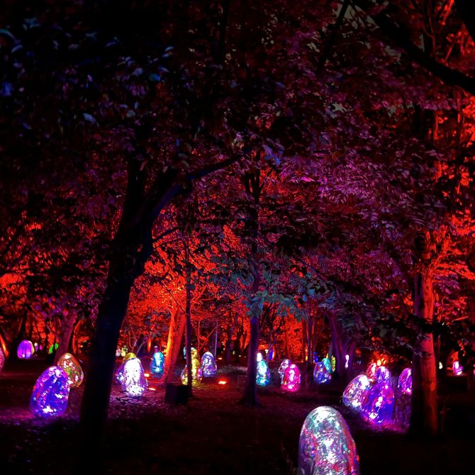 TeamLab at Osaka | Trip.com Osaka