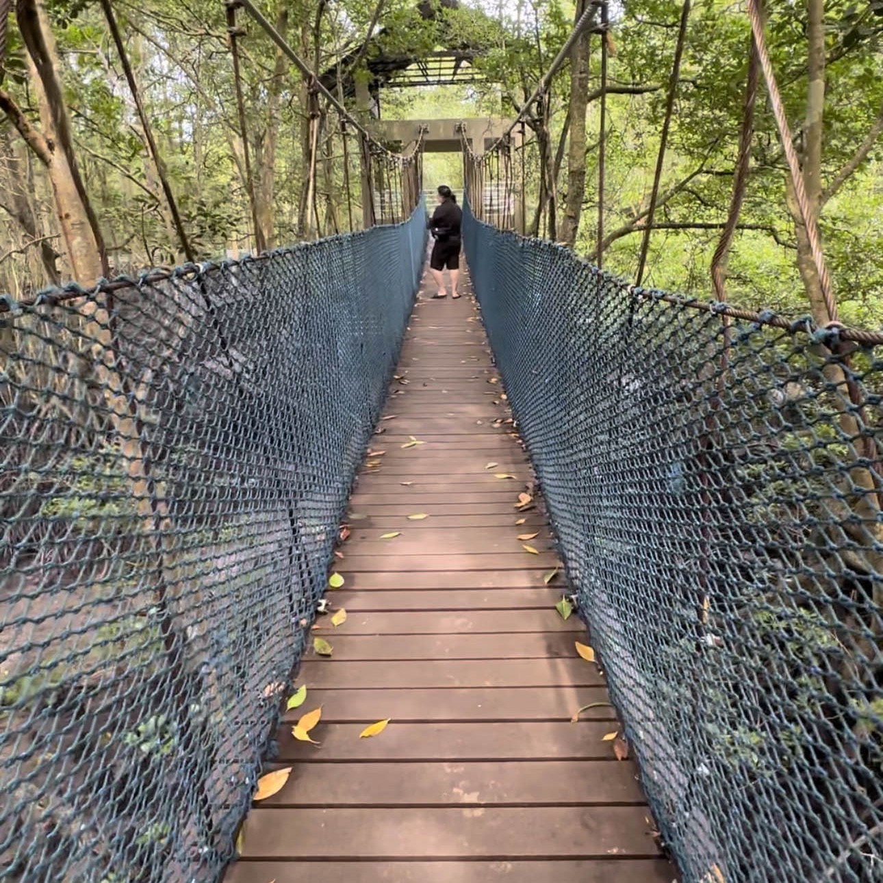 Lumut Travel Guide 2023 - Things to Do, What To Eat & Tips | Trip.com