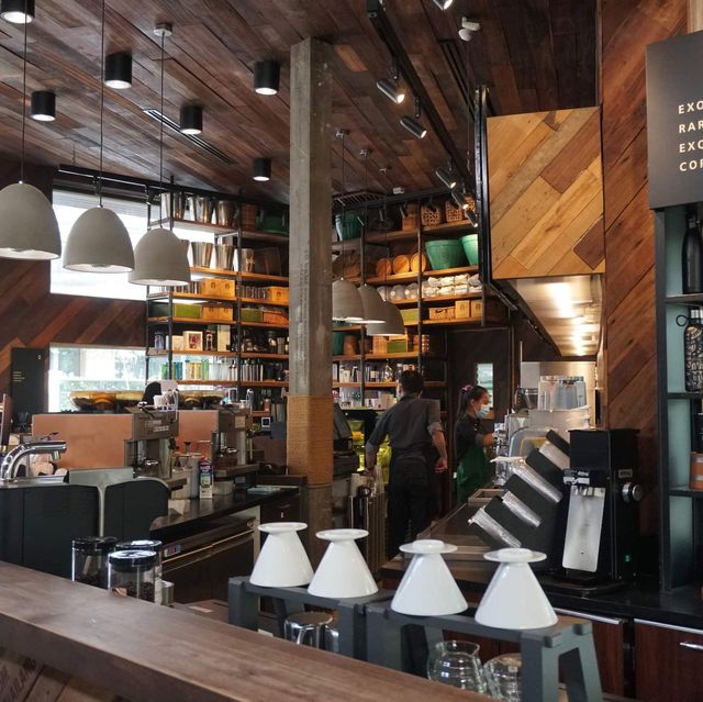 คาเฟ่อบอุ่นใจกลางกรุง | Trip.com กรุงเทพฯ