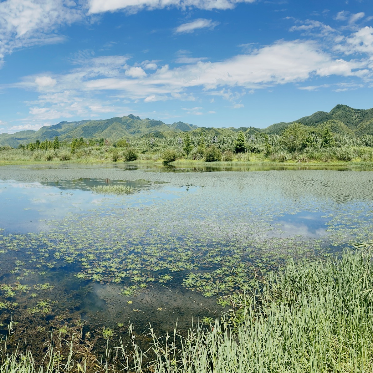 Anji 2023 Top Things to Do - Anji Travel Guides - Top Recommended Anji ...