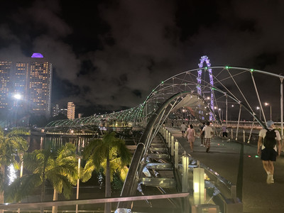 Helix Bridge Top View