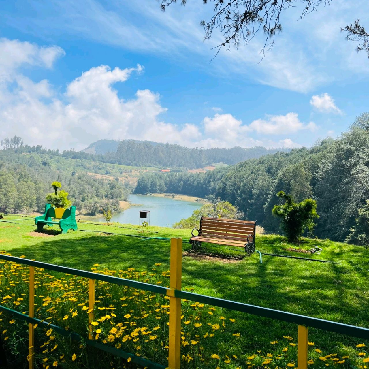 Nilgiris Travel Guide 2024 - Things to Do, What To Eat & Tips | Trip.com