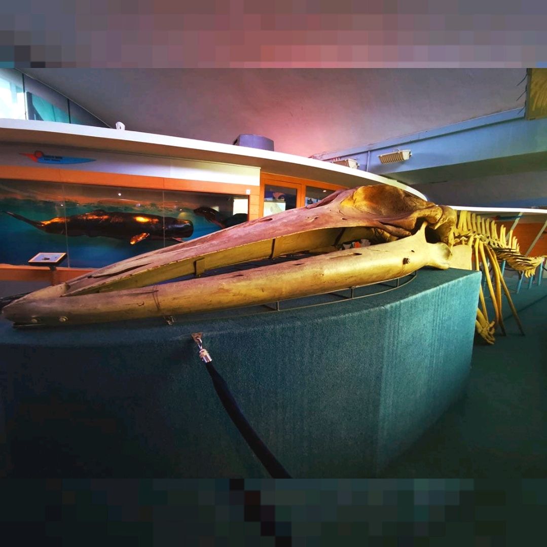 Labuan 2022 Top Things to Do - Labuan Travel Guides - Top Recommended ...