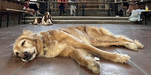 Dog Life Drawing - Left Bank | Left Bank Leeds: Tickets, Dates ...