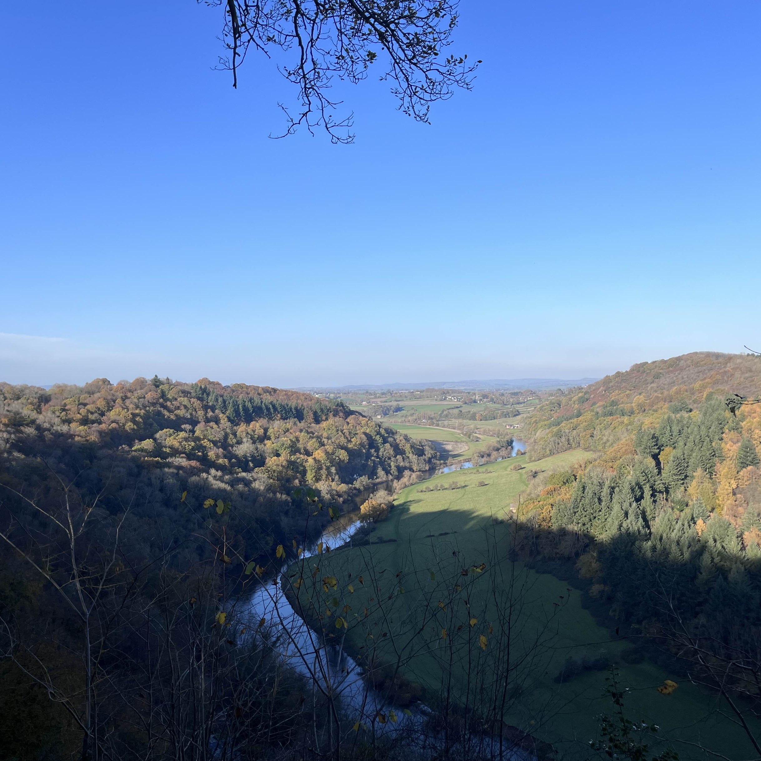 Symonds Yat Travel Guide 2024 - Things to Do, What To Eat & Tips | Trip.com