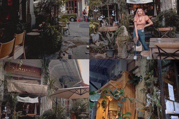 Wallflower Cafe | Trip.com กรุงเทพฯ
