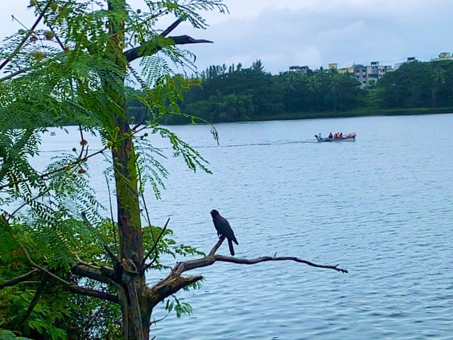 Bird valley Udyan in Pune Maharashtra | Trip.com Pune