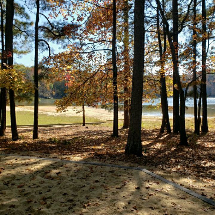 Wake Forest Travel Guide 2024 - Things to Do, What To Eat & Tips | Trip.com