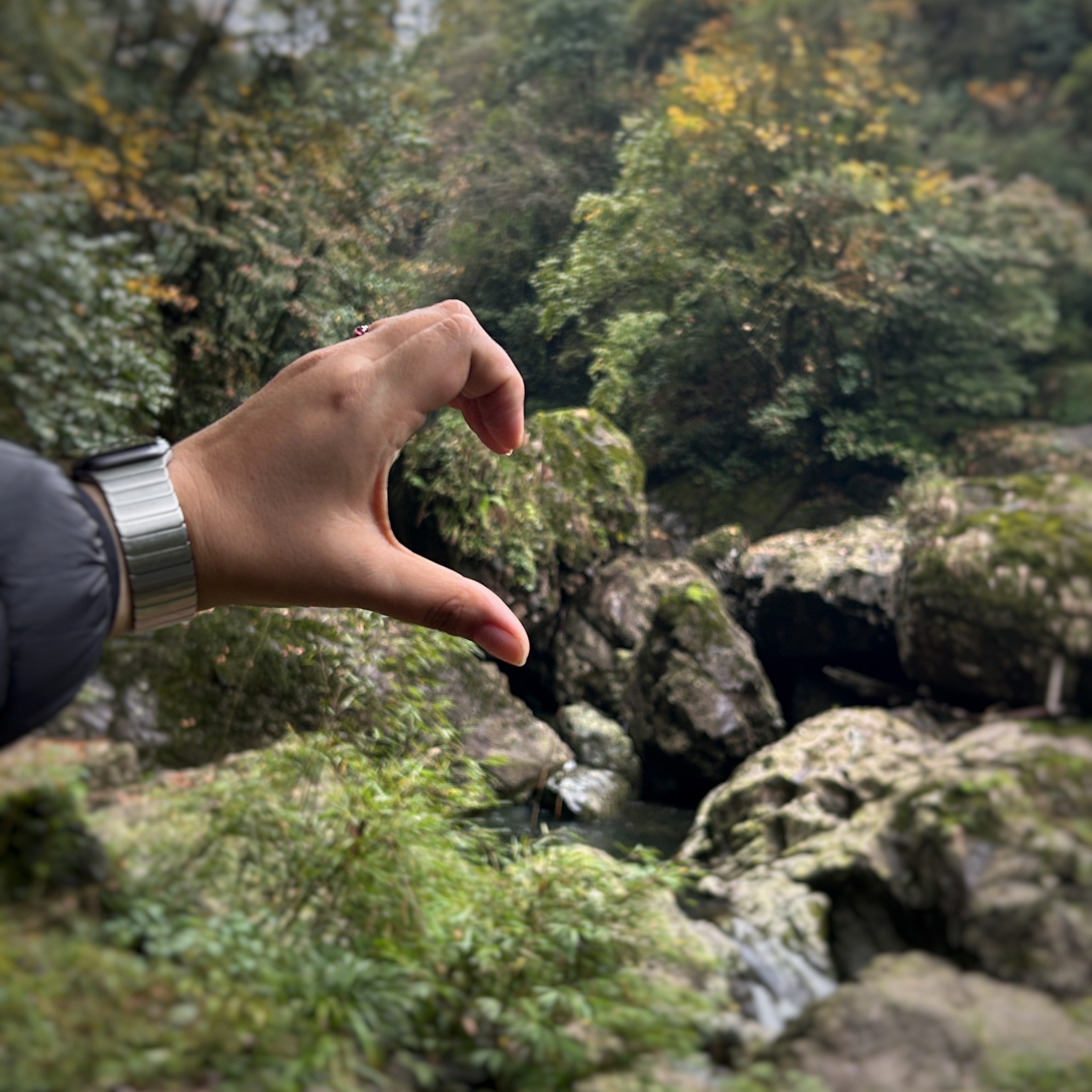 Yingjing Travel Guide 2023 - Things to Do, What To Eat & Tips | Trip.com