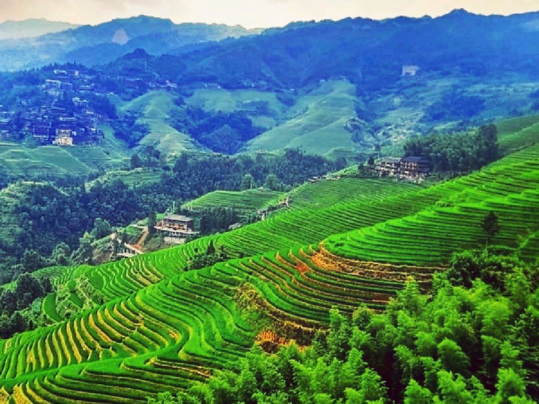 Longji Terraces Travel Guide 2024 - Things to Do, What To Eat & Tips ...