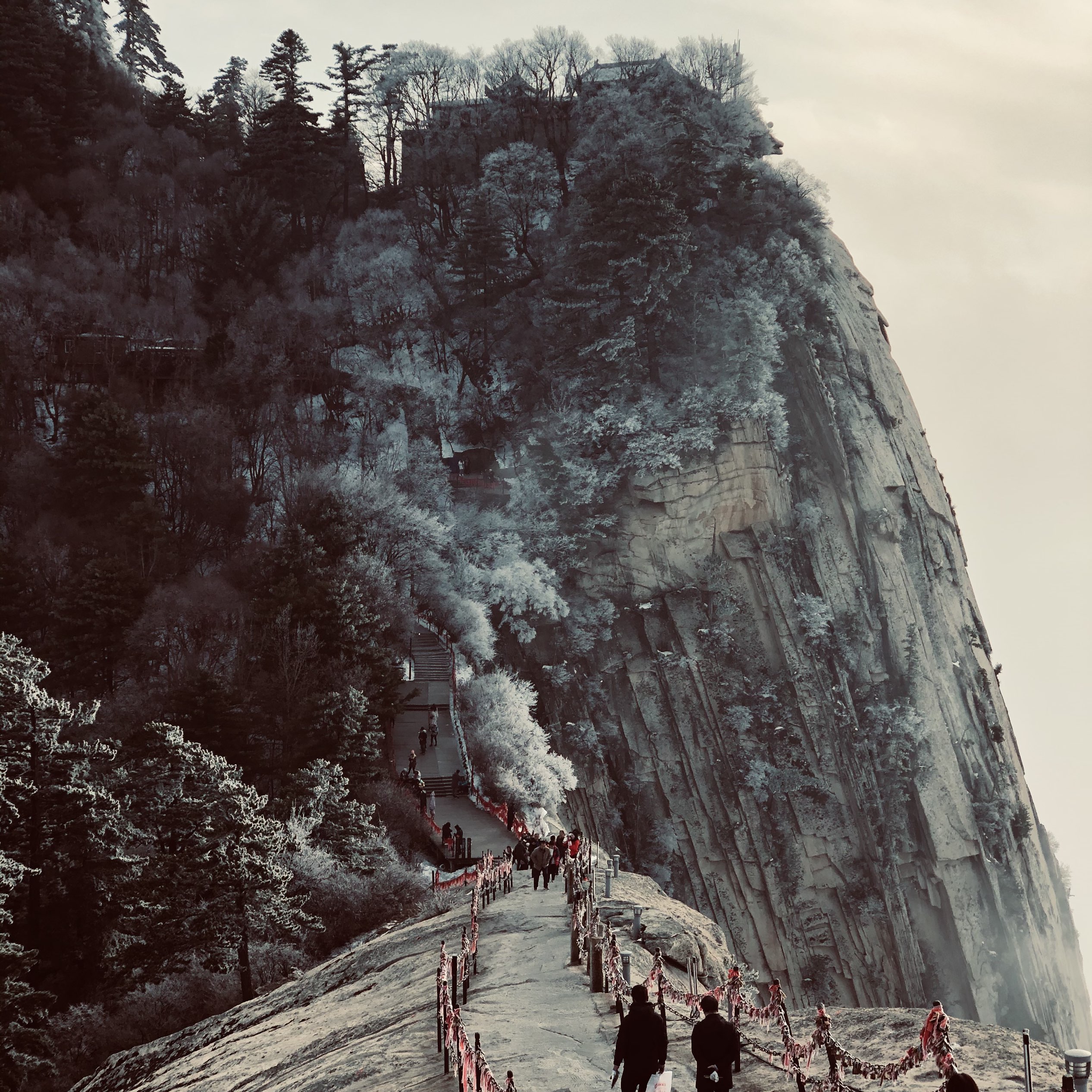 Huashan Travel Guide 2023 - Things to Do, What To Eat & Tips | Trip.com