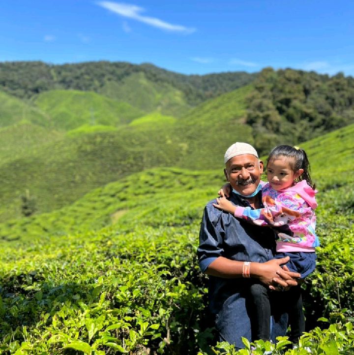 Ulu Telom 2022 Top Things to Do - Ulu Telom Travel Guides - Top ...