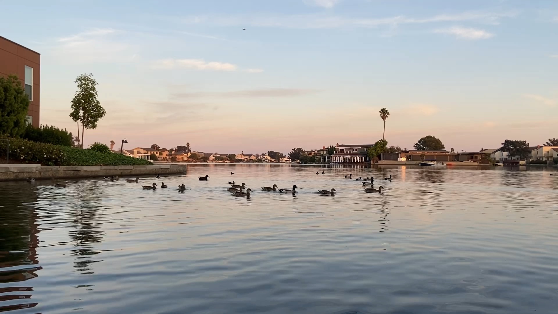 Foster City Travel Guide 2024 - Things to Do, What To Eat & Tips | Trip.com