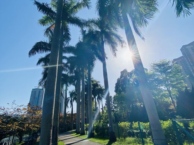 Sha Tin Park เดิมชื่อ Sha Tin | Trip.com ฮ่องกง