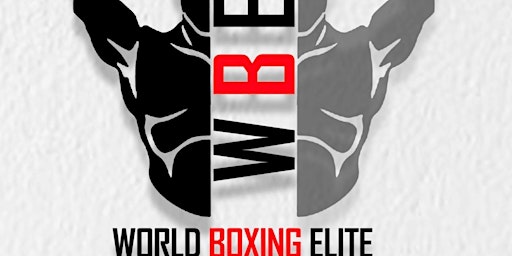 World Boxing Elite | The Queen's Hall: Tickets, Dates & Itineraries ...