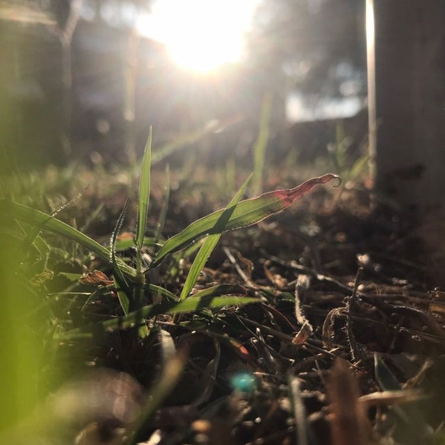 มุกดาหารเมืองพญานาค | Trip.com ตำบล หนองญาติ