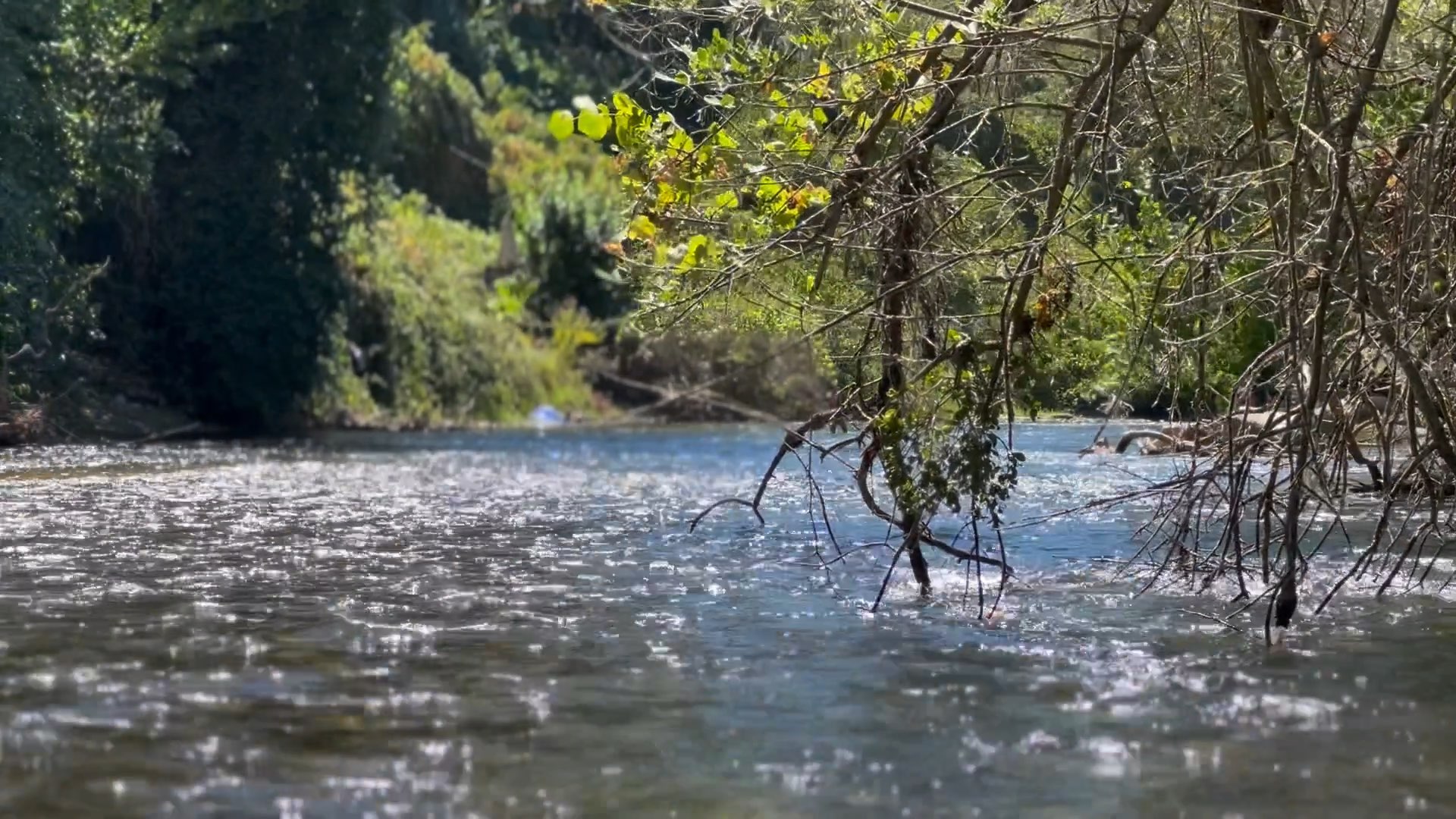 Stanislaus County Travel Guide 2024 - Things to Do, What To Eat & Tips ...