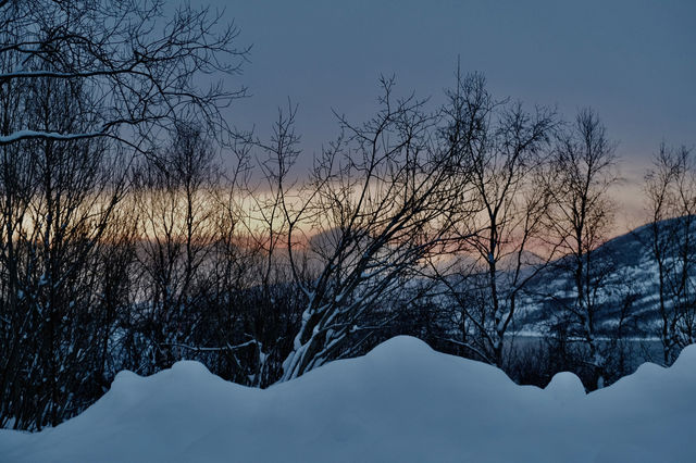 Tromsø car rental | Trip.com Tromso