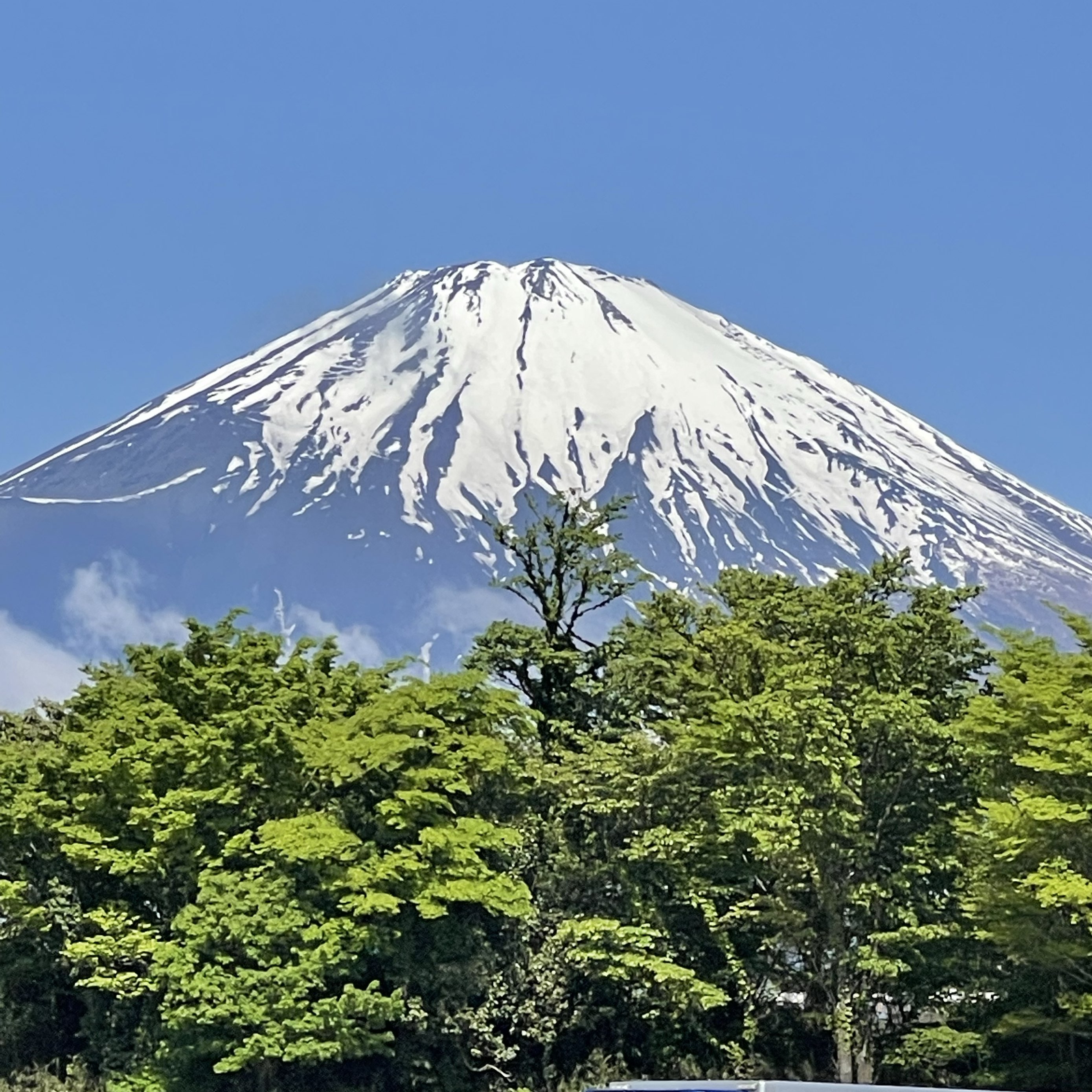 Mount Fuji Travel Guide 2023 - Things to Do, What To Eat & Tips | Trip.com