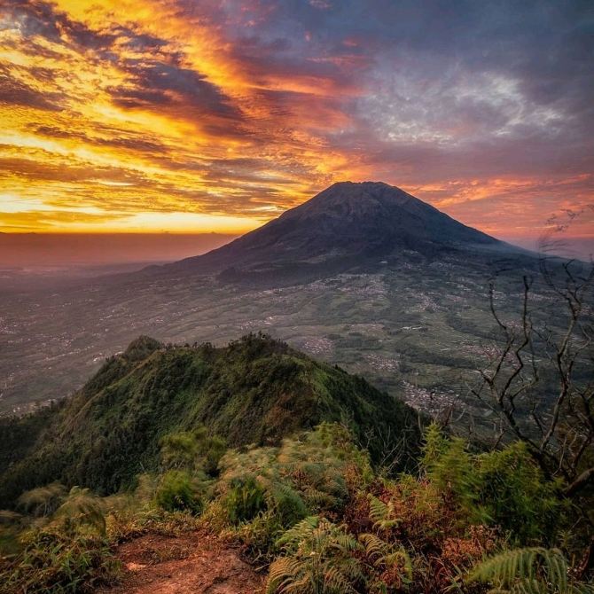 TELOMOYO MOUNTAIN | Trip.com Jeju Island Travelogues