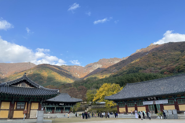 드라이브와 산책 둘 다 잡을 수 있었던 가족나들이, 밀양 표충사 | 트립닷컴 밀양시