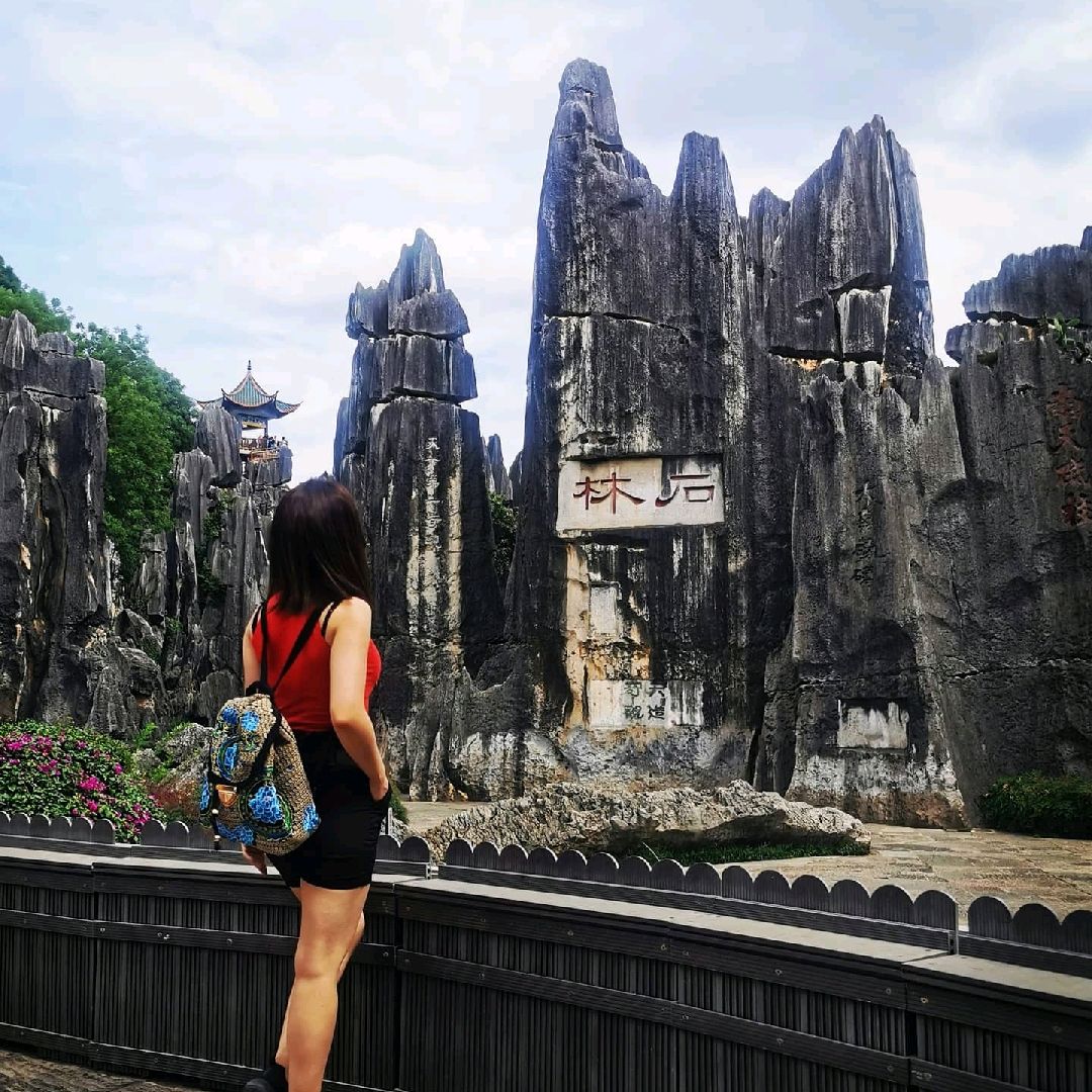 The Stone Forest