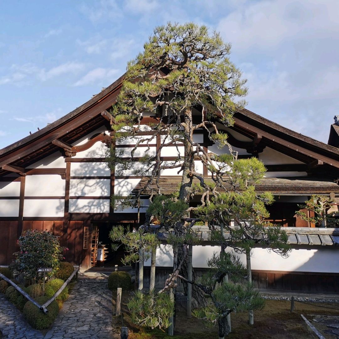 Kyotanabe Travel Guide 2024 - Things to Do, What To Eat & Tips | Trip.com