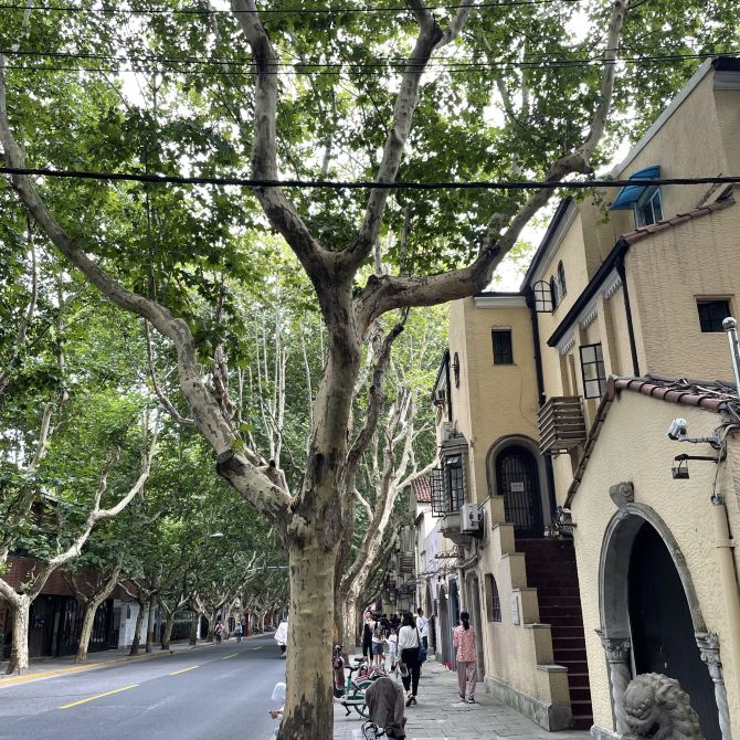 Wukang road - Nice walk! | Trip.com Shanghai Travelogues