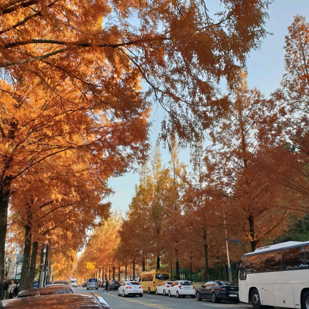 Changwon Travel Guide 2024 - Things to Do, What To Eat & Tips | Trip.com