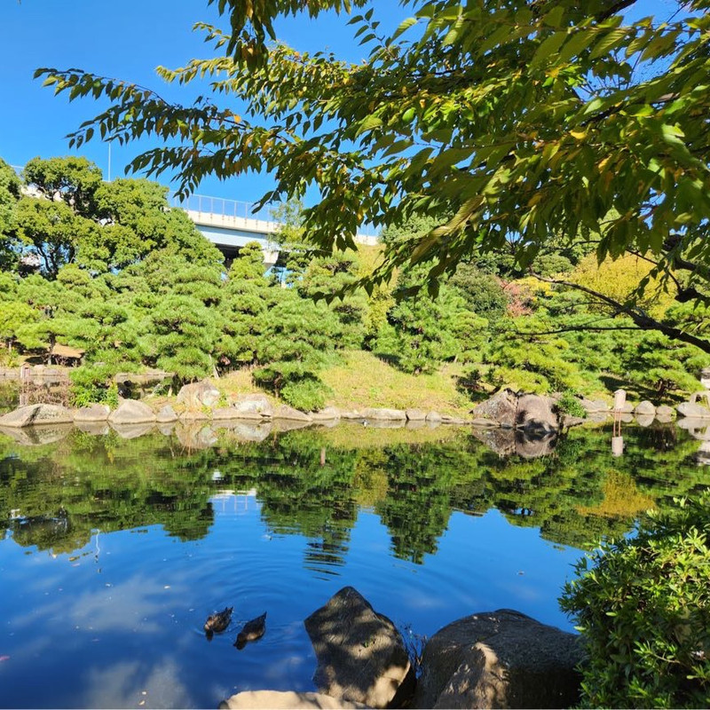 도쿄 산책의 명소 sumida park | 트립닷컴 도쿄
