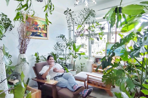 masonia tree & coffee cafe | Trip.com กรุงเทพฯ