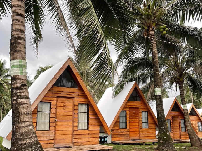 Aurora Travel Guide 2024 - Things to Do, What To Eat & Tips | Trip.com