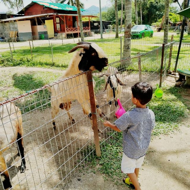Fantastic experience at NABILA AGRO FARM N9 | Trip.com Negeri Sembilan