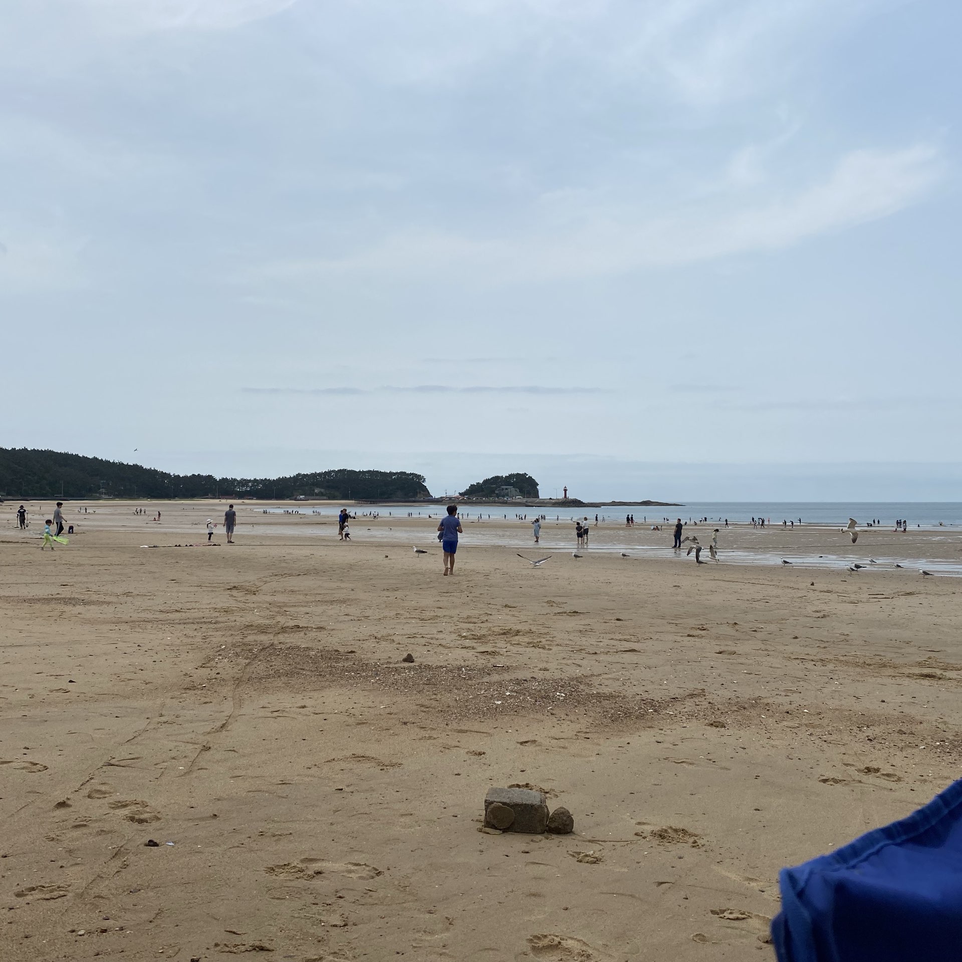 Cheonan-si Travel Guide 2023 - Things to Do, What To Eat & Tips | Trip.com