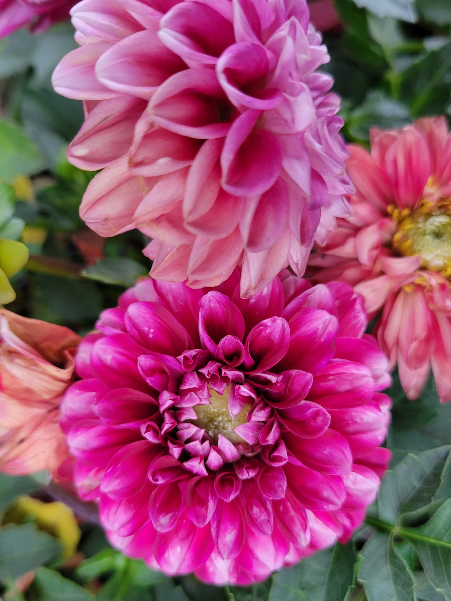 Hefei 2023 Top Things to Do - Hefei Travel Guides - Top Recommended ...