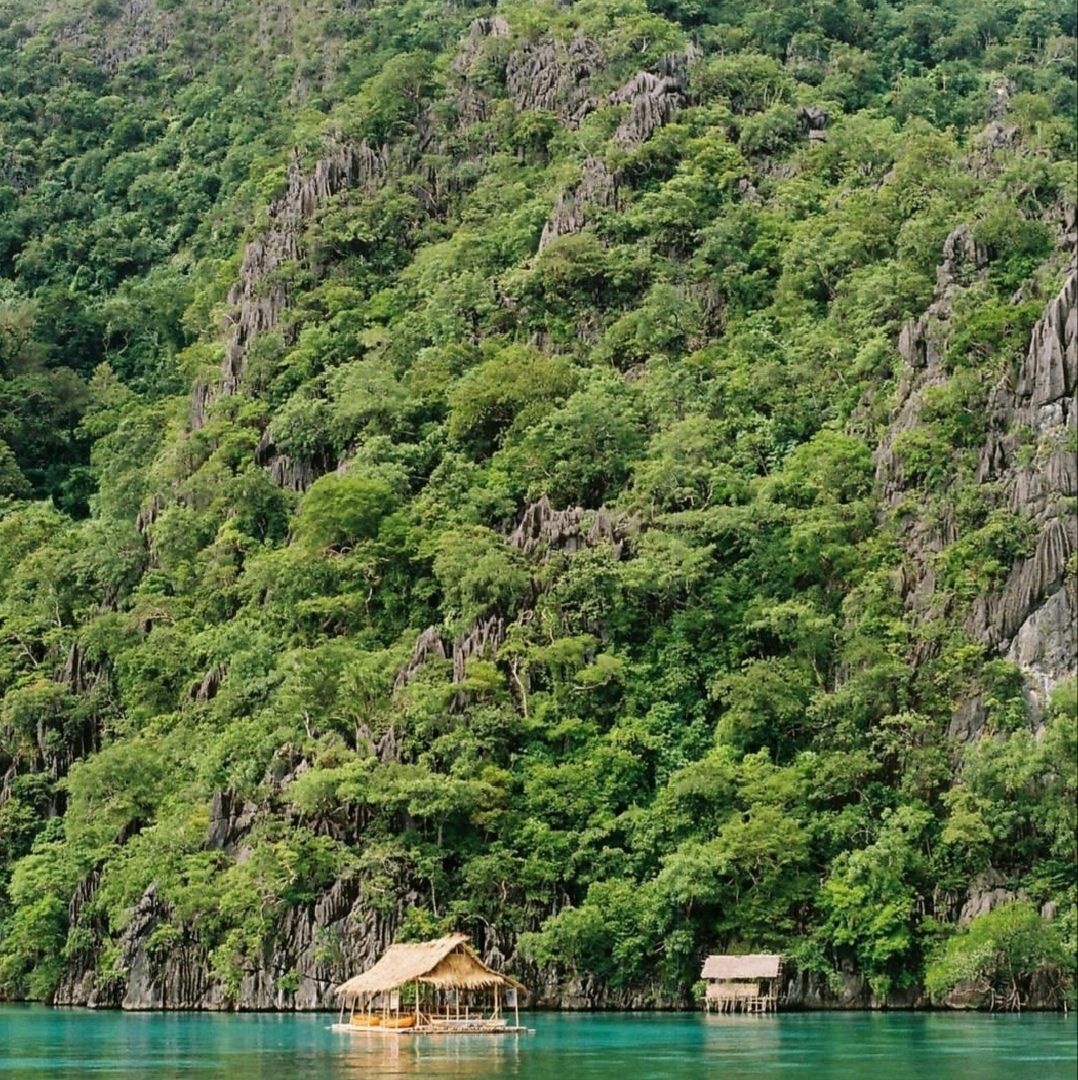 Sweet Coron Wallpaper