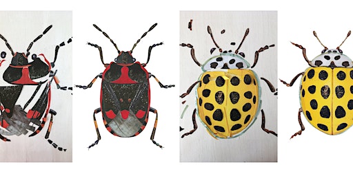 Family Insect Collage Workshop | Methodist Church: Tickets, Dates ...