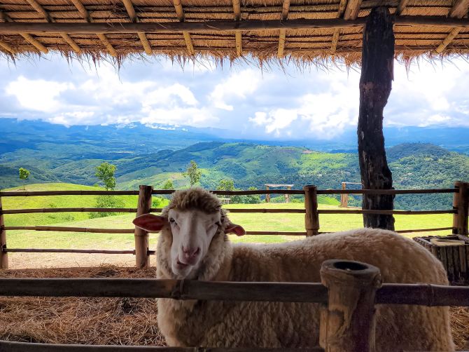 Akha Farmville | Trip.com กาญจนบุรี บล็อกท่องเที่ยว