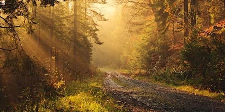 Birmingham Ramblers New Year walk and lunch on Saturday 6 January 2024 ...