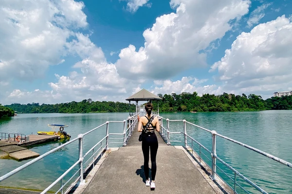 magnificent sights at Macritchie | Trip.com สิงคโปร์