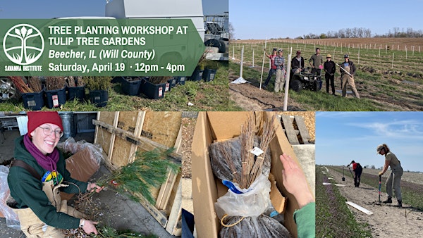 วันที่และแผนการเดินทางไป Tree Planting Workshop at Tulip Tree Gardens | 1236 E Eagle Lake Rd ...